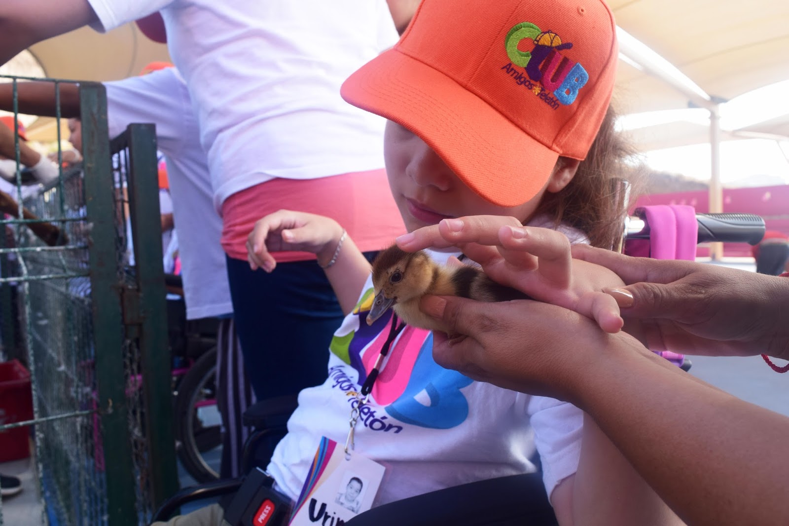 Conviven animales del Zoológico de Tijuana con niños del CRIT - TIJUANA ...
