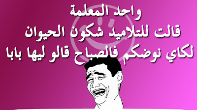 NOKAT MARRIBIA نكت مغربية: nokat