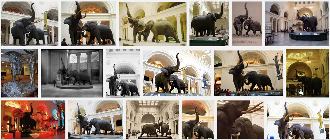 EMPEHI.blogspot.com: Field Museum Elephants