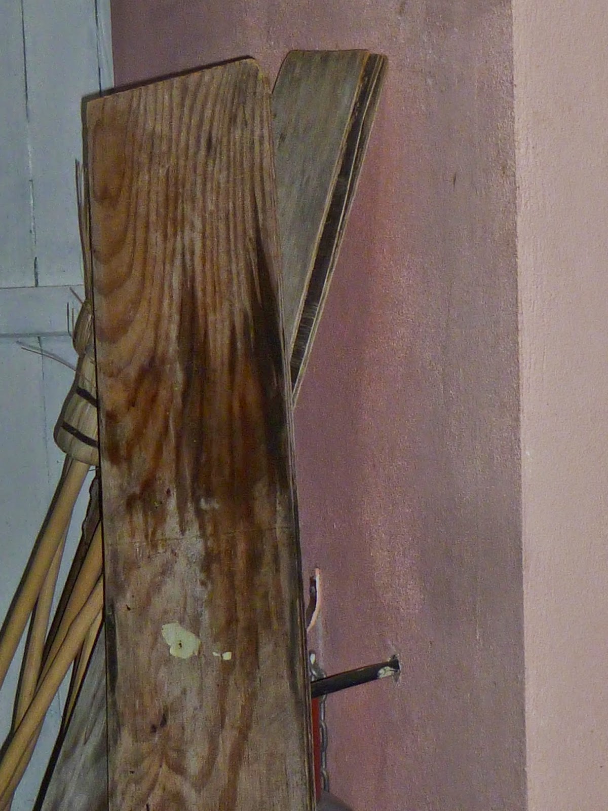 The Jamaican Croaking Lizard