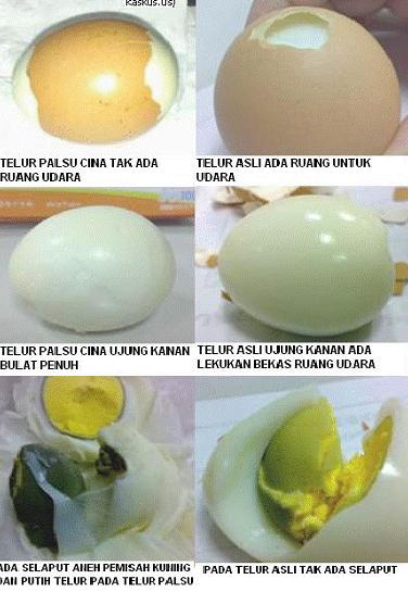 NORZI FOODILICIOUS HOUSE: Cara kenalpasti, perbezaan Telur Ayam Palsu~