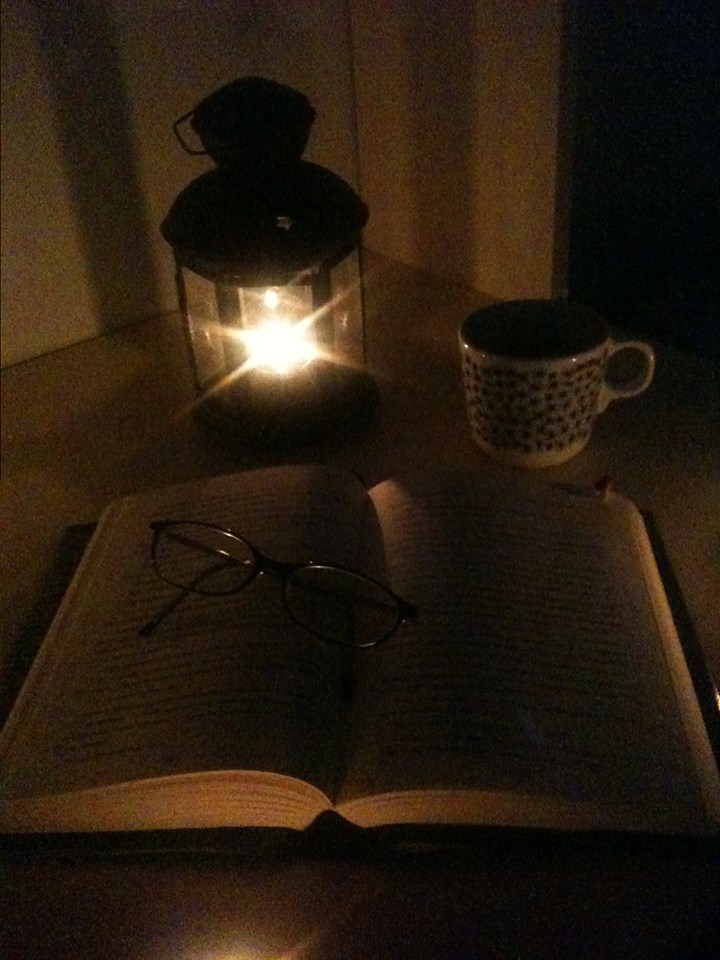 L.S.D Everything : FISILTI SERİSİ/HUSH HUSH BECCA FİTZPATRİCK