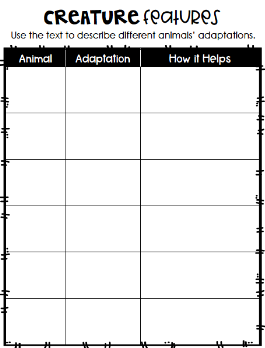 Paiges of Learning: Spotlight on Steve Jenkins!