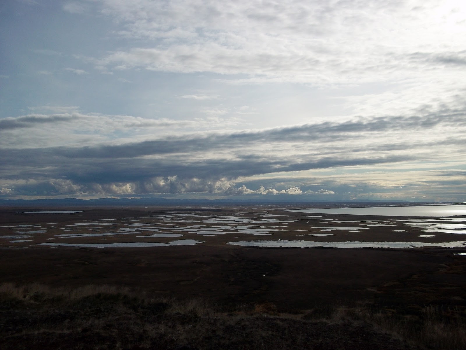 My Life (and teaching) in Alaska: Stebbins: Take Two