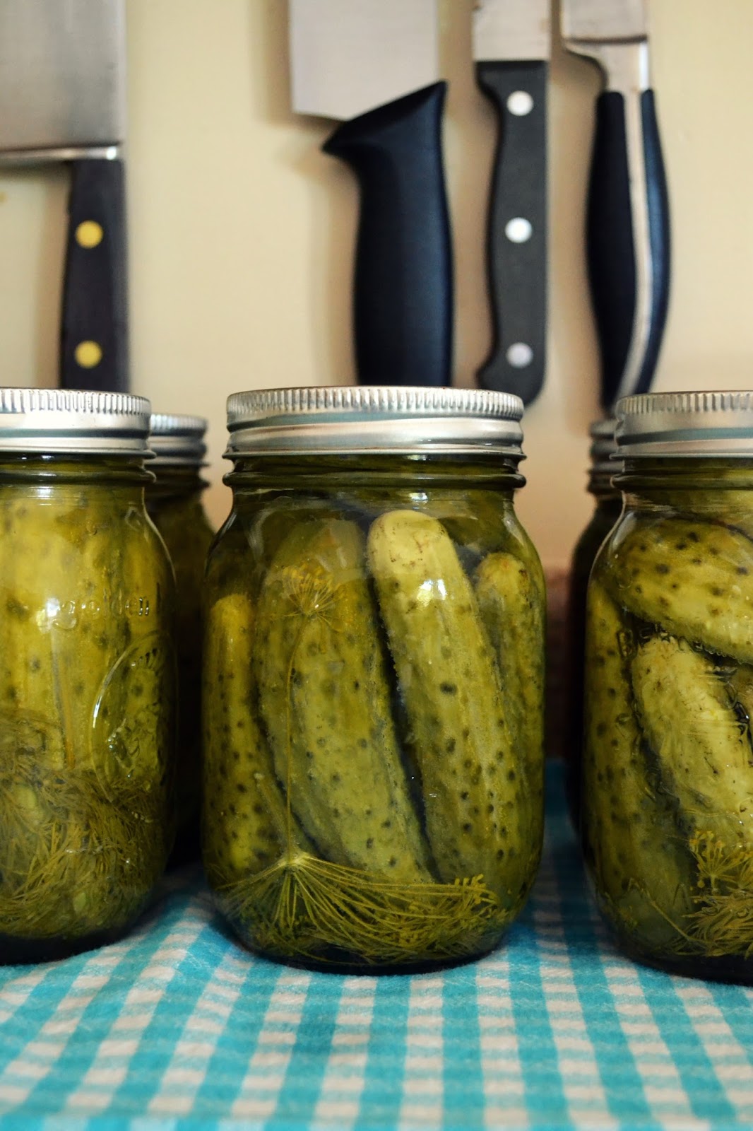 Crunchy Dill Pickles: A Canning Photo Story