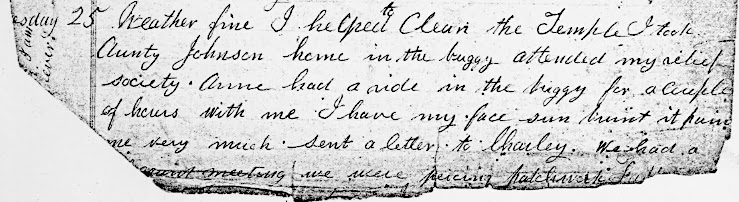 TheAncestorFiles: Ann Prior Jarvis Diary — March 25, 1884