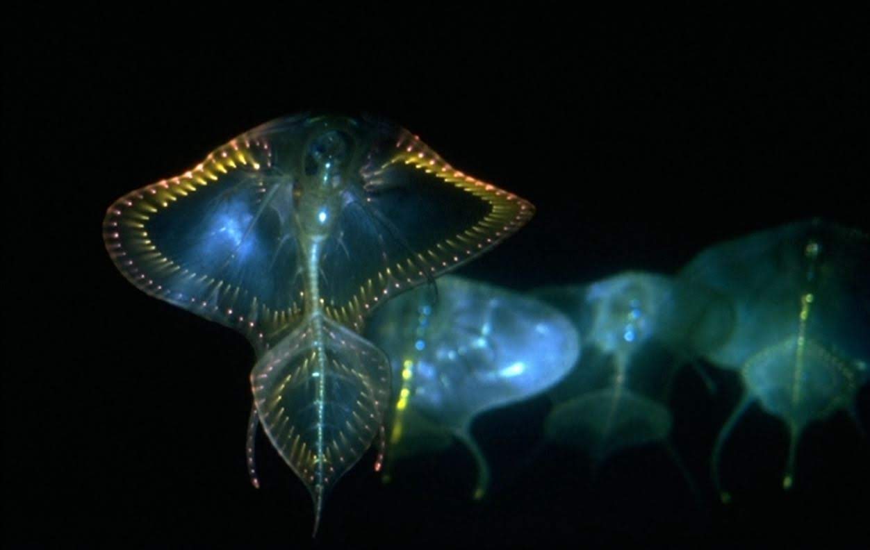 model ships in the cinema: The Abyss 1989 Part 4