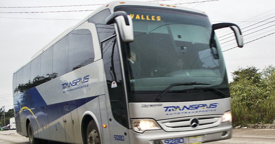 MAXIBUSES: TRANSPAÍS