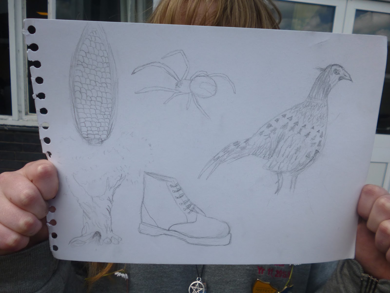 GCSE graphics unit 1: drawings of subject matter