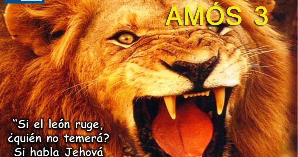 Neco Vida: Leyendo... Amós capítulo 3