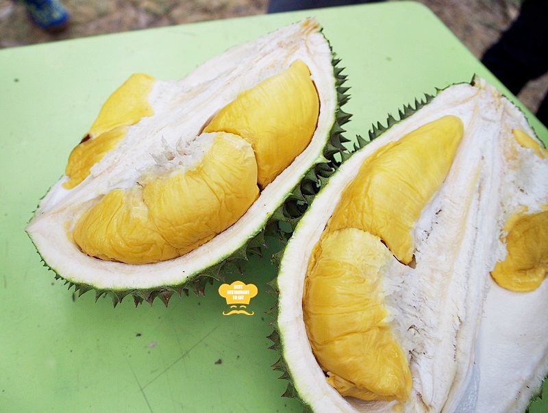 Best Restaurant To Eat - Malaysian Food Blog: RAUB DURIAN FARM Orchard ...