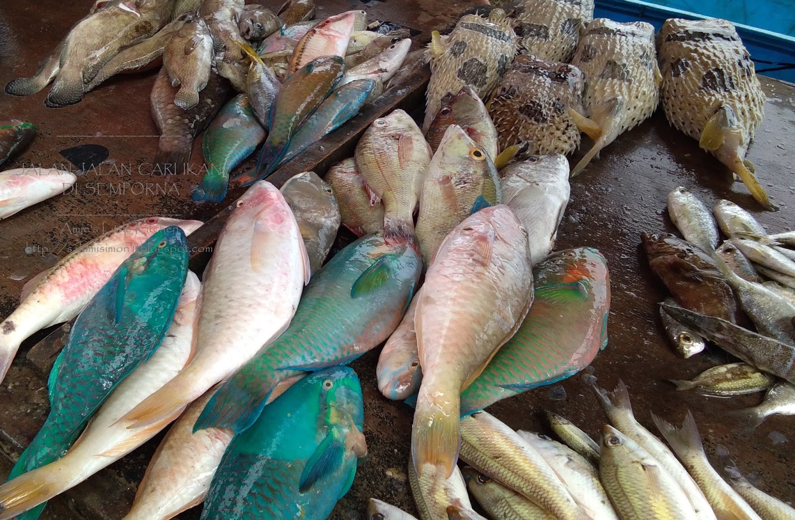 Jalan-Jalan Cari Ikan di Semporna - Amie's Little Kitchen