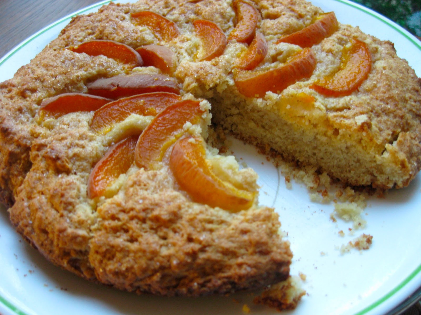 The Pittsburgh Kitchen: Apricot Cake