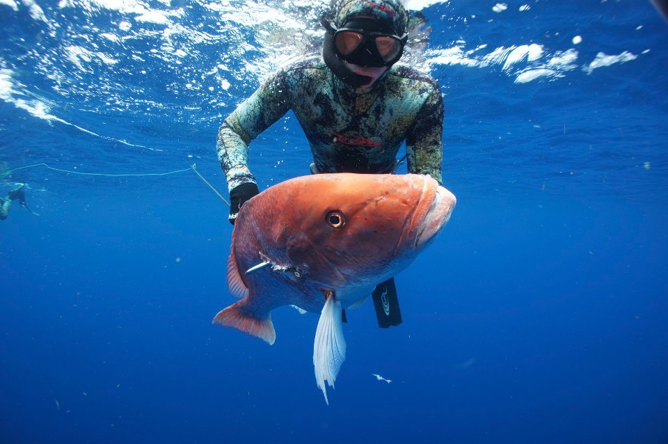 Salt Life Blog: Congratulations, Salt Life Pro. Captain Cameron ...