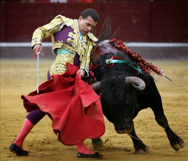 Curiosidades por un tubo: blog sobre curiosidades: ¿Les atrae a los ...