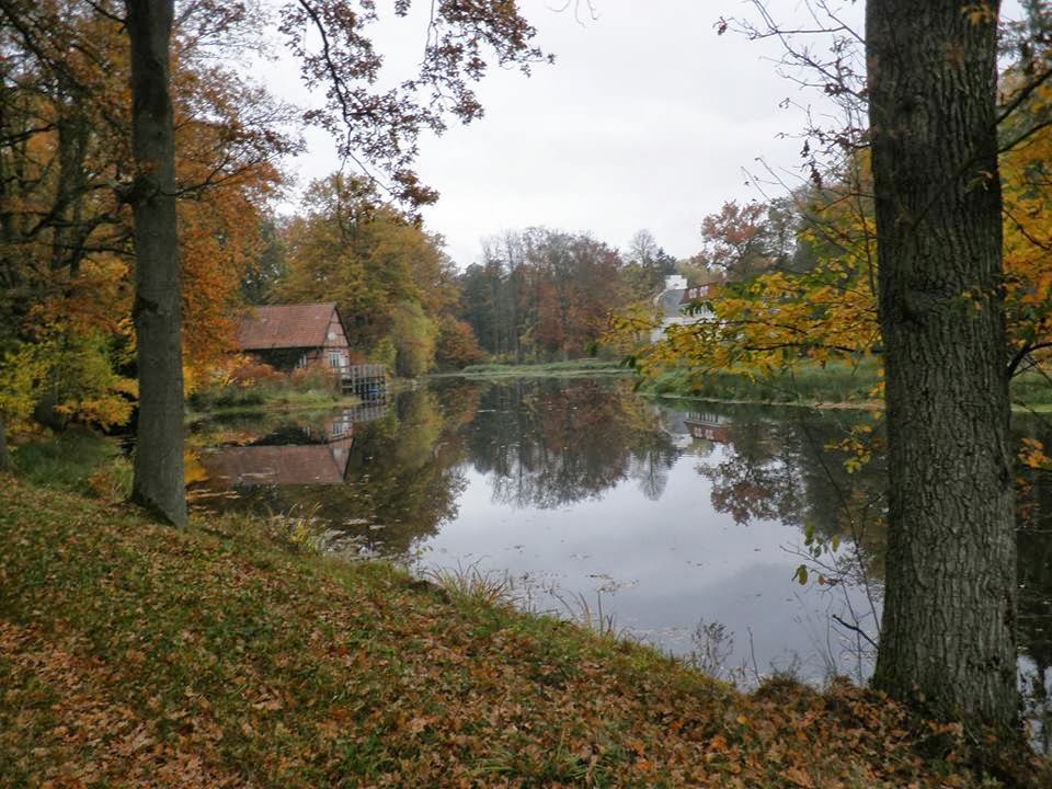 The Flee, Float & Foto: Blast from the Past