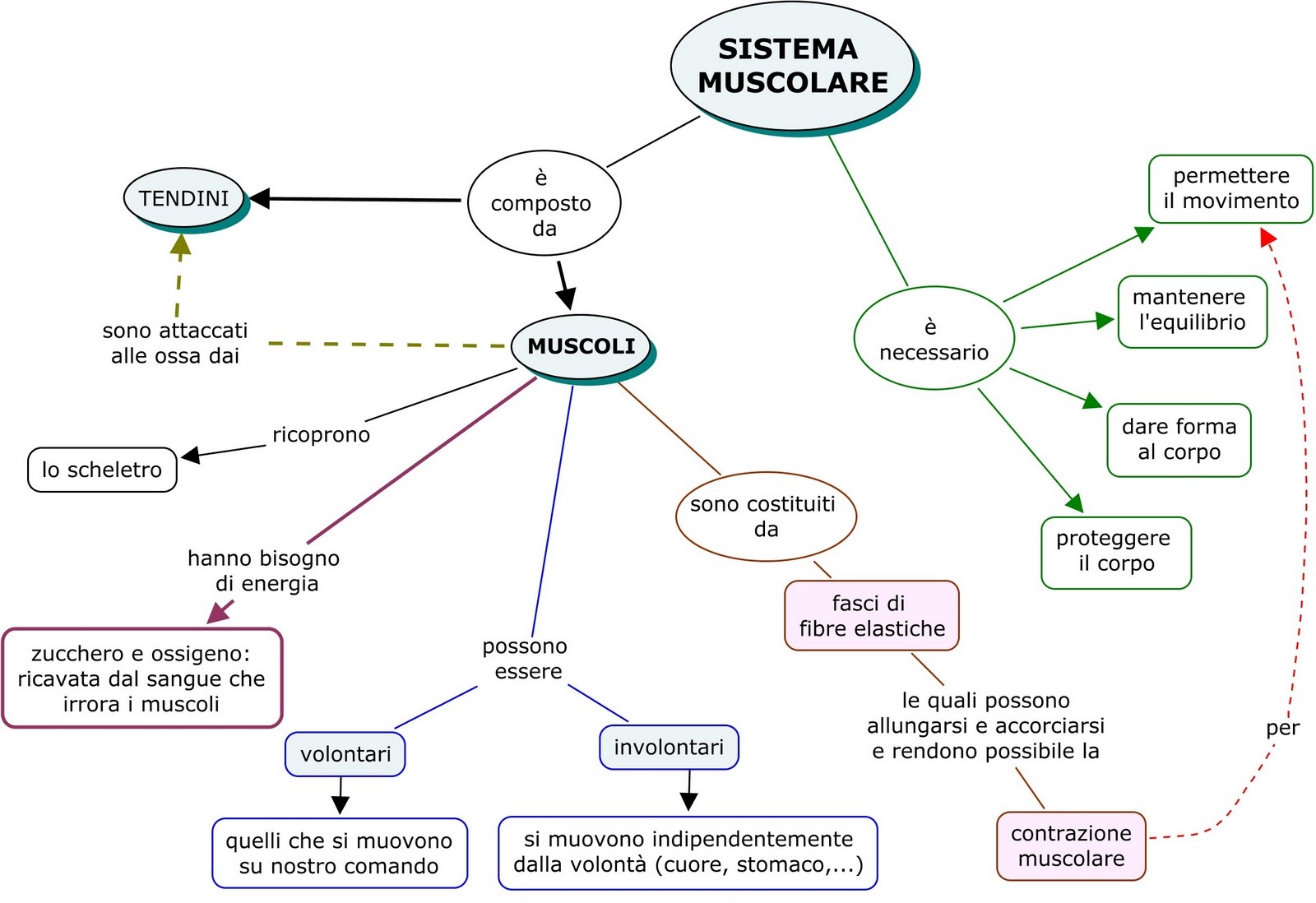 Classe Quinta: febbraio 2013