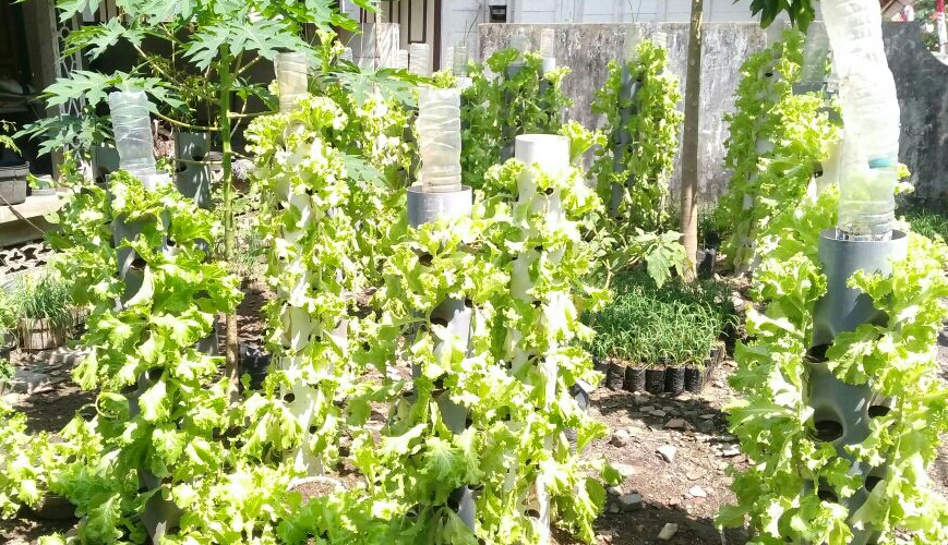 16+ Gambar Tanaman Vertikultur yang Lagi Ngetrend - Informasi Seputar ...