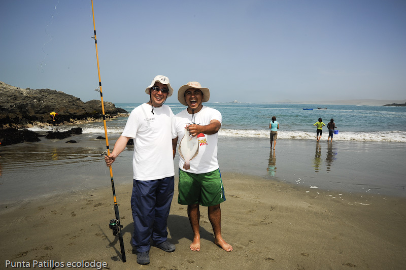 Eco-lodge Punta Patillos