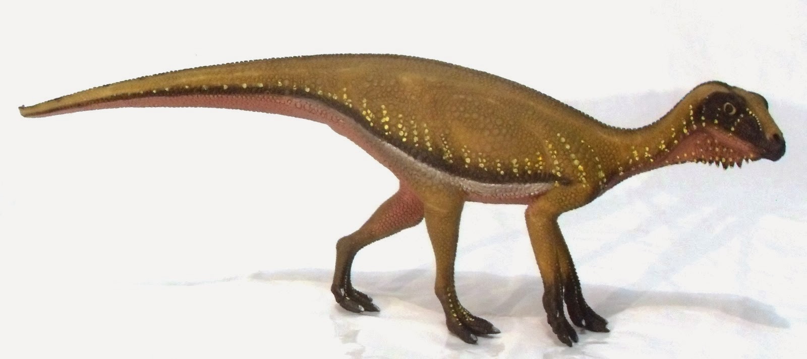 Mundo Pré-Histórico: Sacissauro, o lagarto de uma perna só