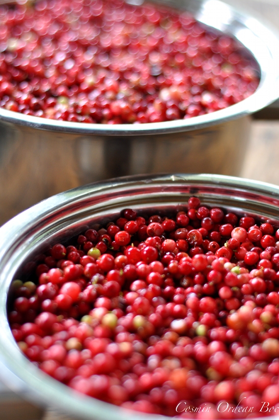 simplu si bun: Preiselbeere Konfitüre...sau gem de merisoare