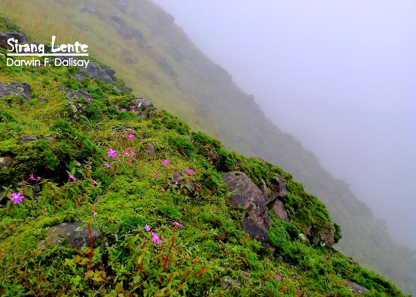 SIRANG LENTE: Hiking Mount Tarak (Bataan) with Couch Surfing