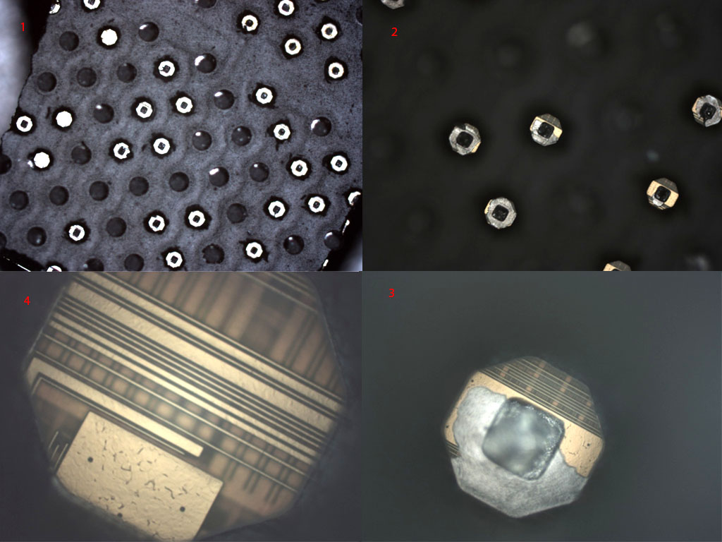A Pentium III Autopsy Using an Electron Microscope...