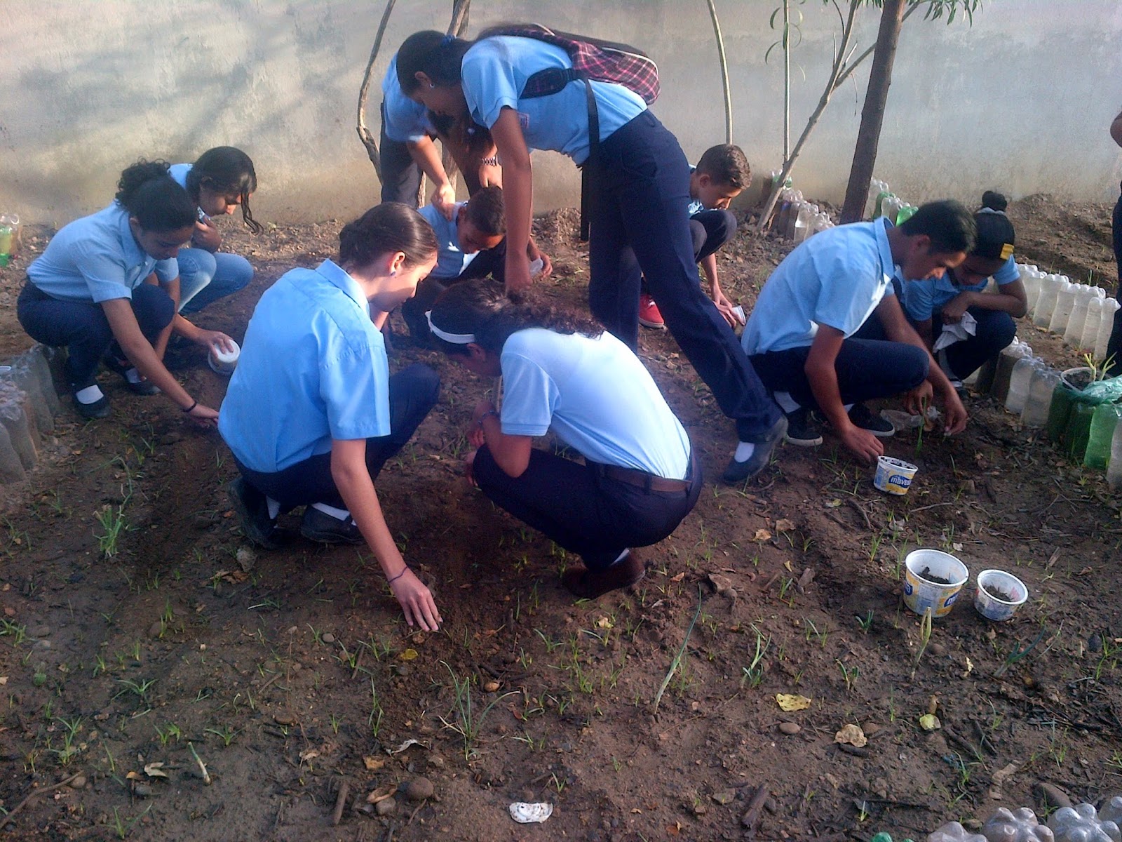 Conuco Escolar Madre Alberta Gimenez