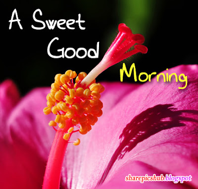 A Sweet Good Morning Greeting Card For Sharing | Good Morning Text ...