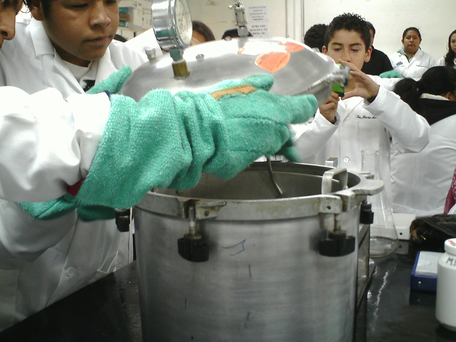 Calor Humedo Esterilizacion at Kelly Barrios blog