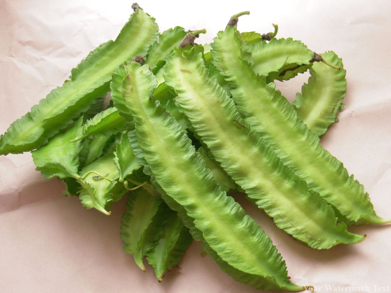 翼豆 Winged Bean，Four-angled Bean，Goa Bean