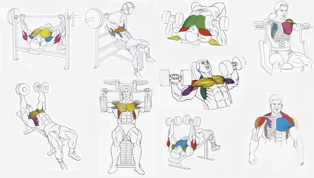 Best Chest Exercises to Build Mass ~ multiple fitness