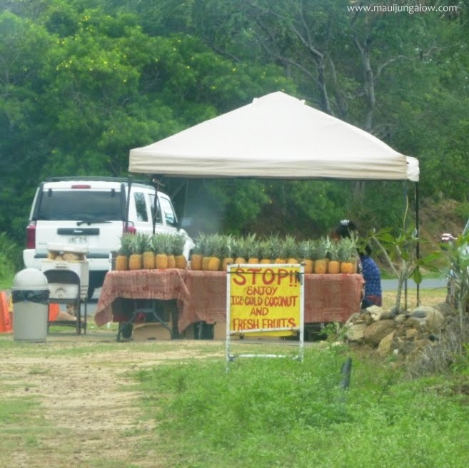 Coconut Stand Hawaii at Carl Cosme blog