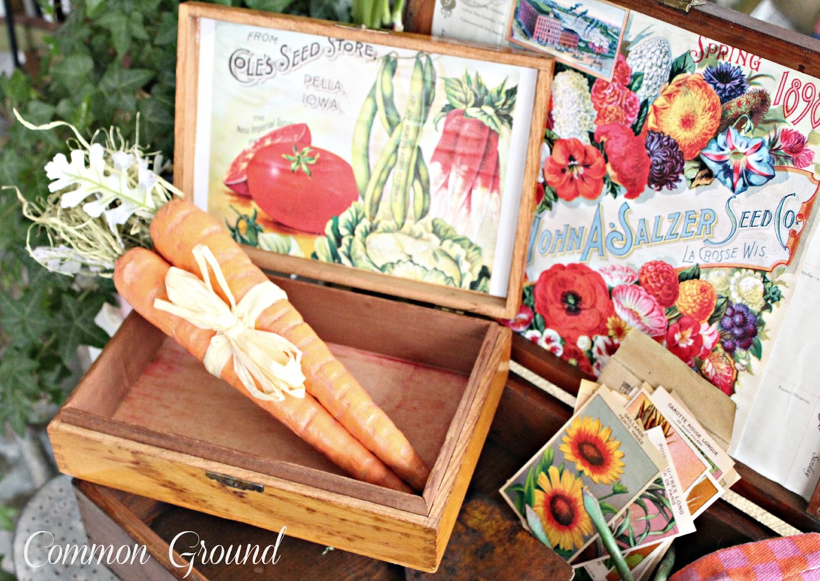 common ground : Seed Box Graphics