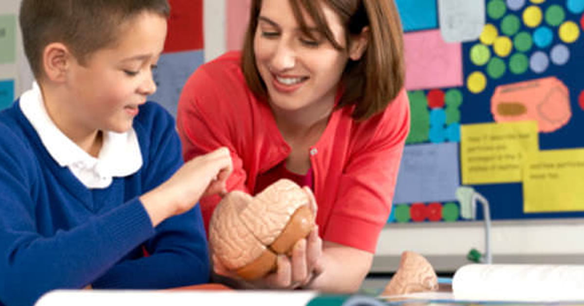 THE TEACHER: LET YOUR CHILD/WARD BENEFIT FROM OUR PRIVATE HOME TEACHING ...