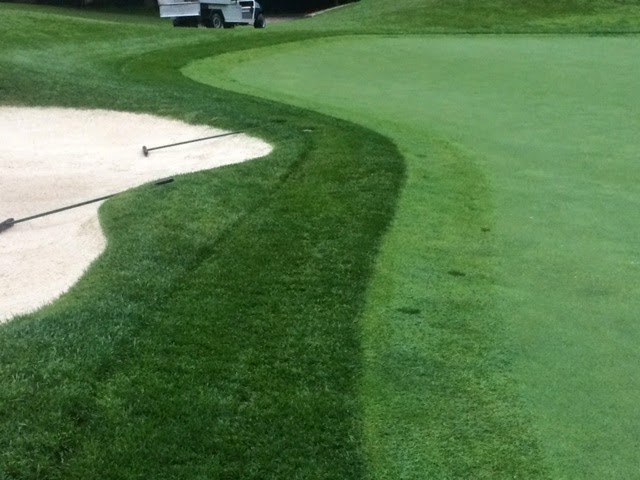 Highlands Country Club Agronomy: Expanded Intermediate Rough