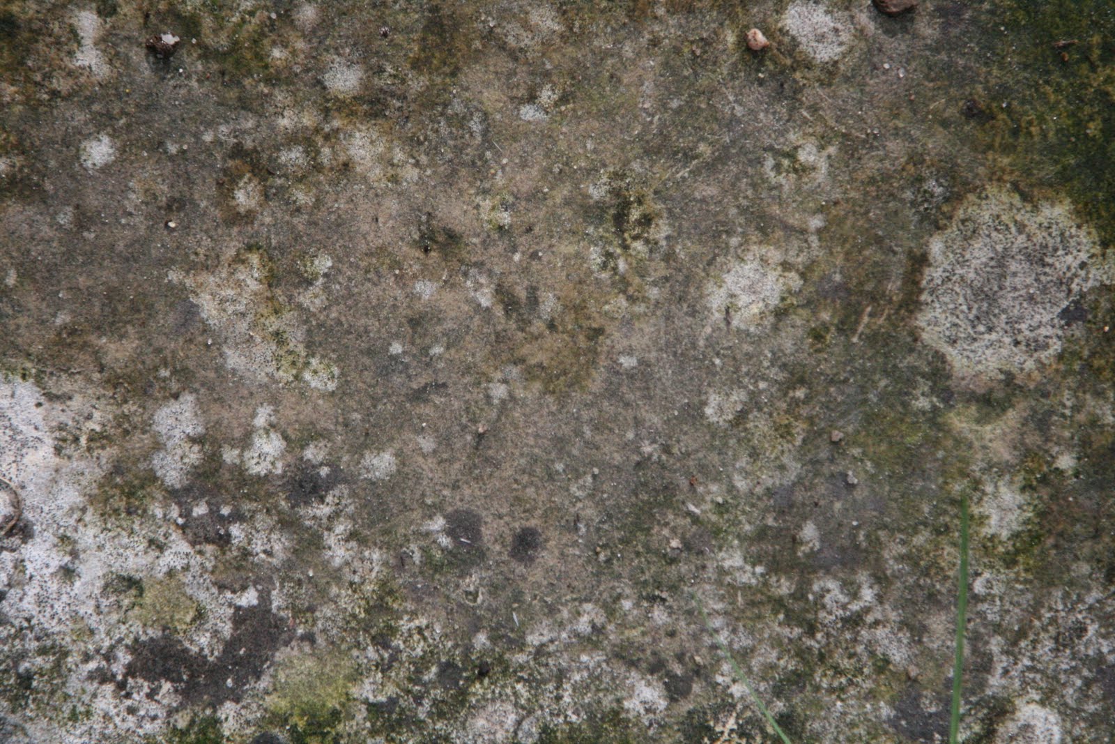 Photography and beyond: Photoshop Textures Photography