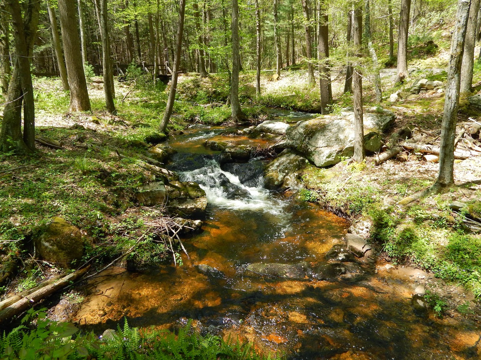 Small Stream Reflections: May 2014