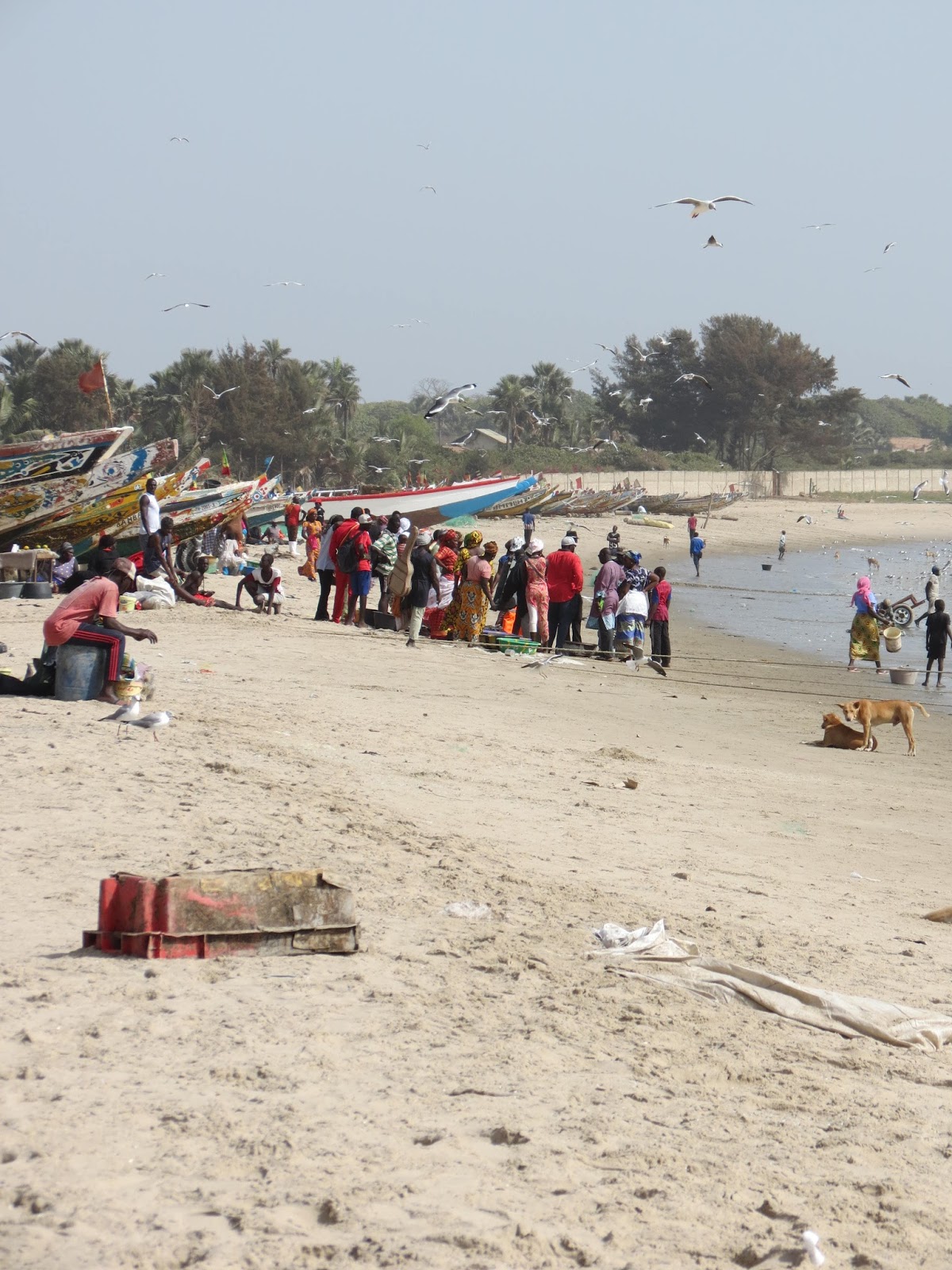 Op stage in The Gambia, Gunjur: Gunjur Beach met de kinderen