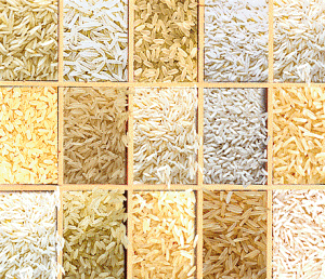 Sent Stephen Information: Varieties of Rice