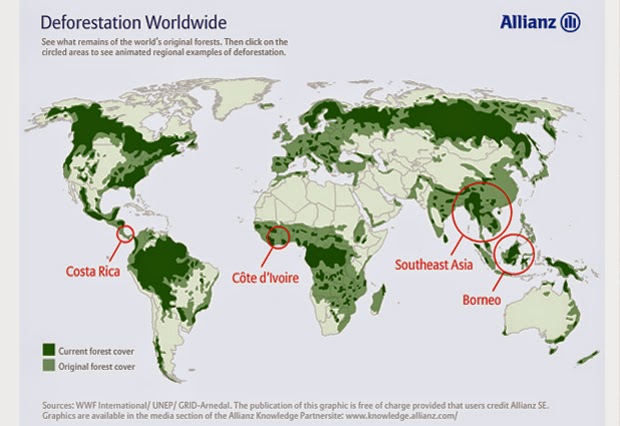 Campaign Week Day #1: Deforestation. - Science in the City
