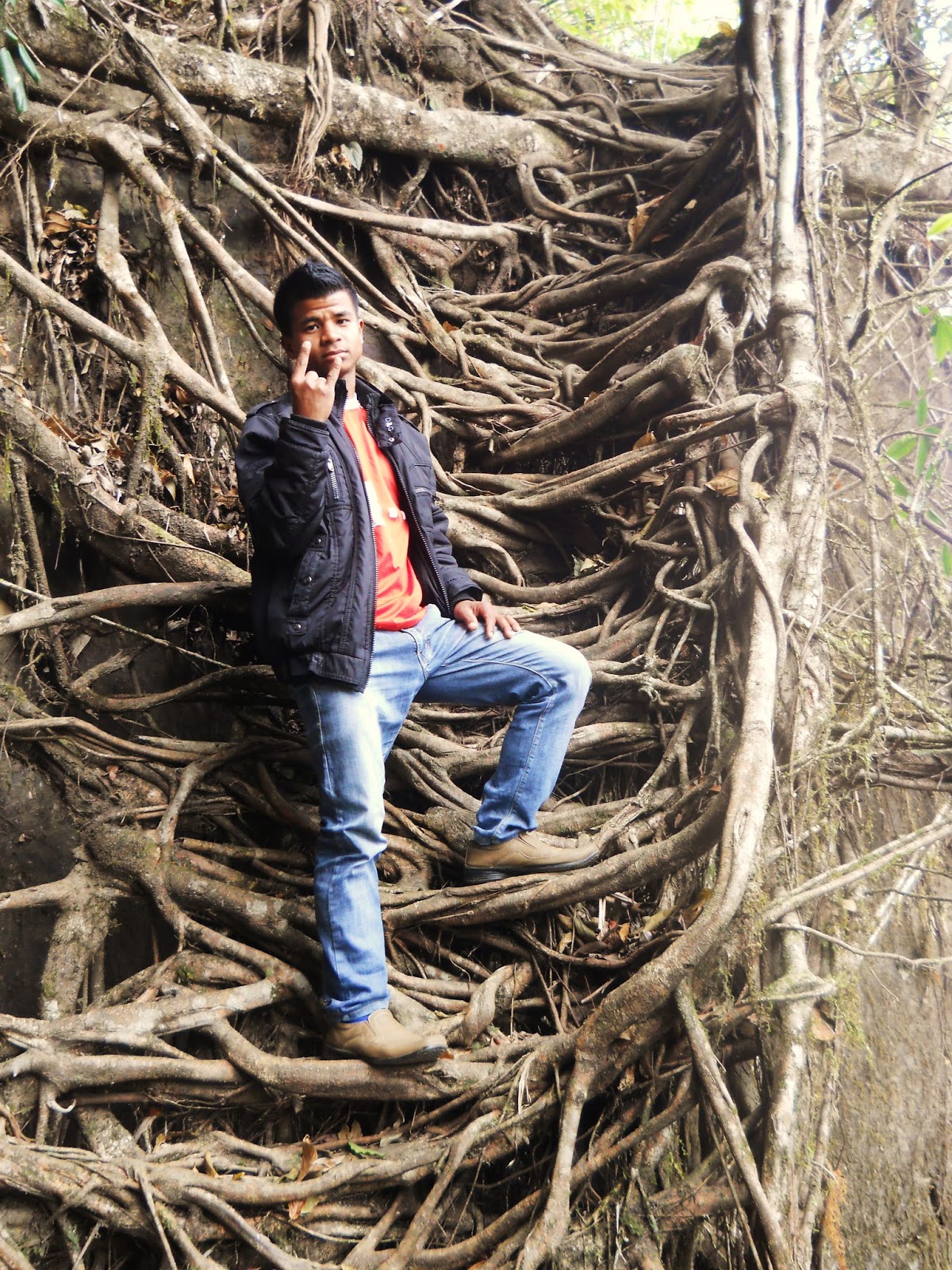 evenfewergoats: The Undiscovered Living Root Bridges of Meghalaya Part ...