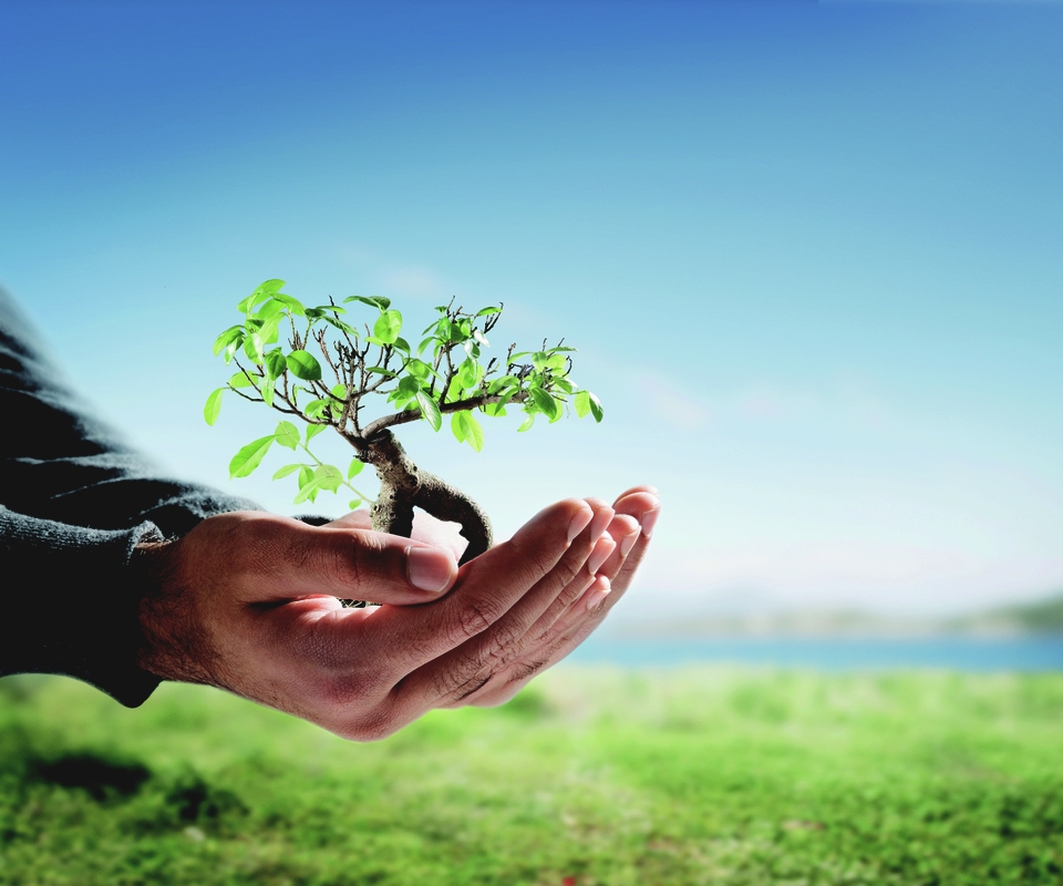 Ecological Footprint Quiz