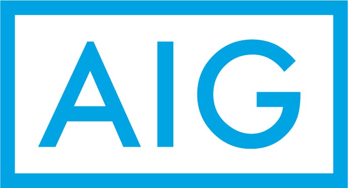 Financial Controls: AIG Financial Performance