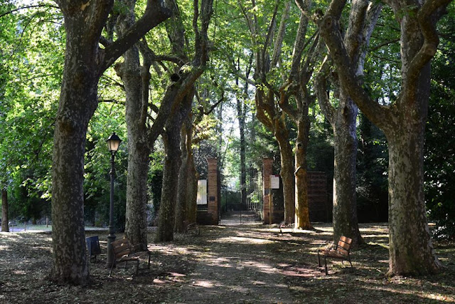 ! Foto guía España ! - Manuel Cervera Górriz: Olot - Capital de la Garrotxa