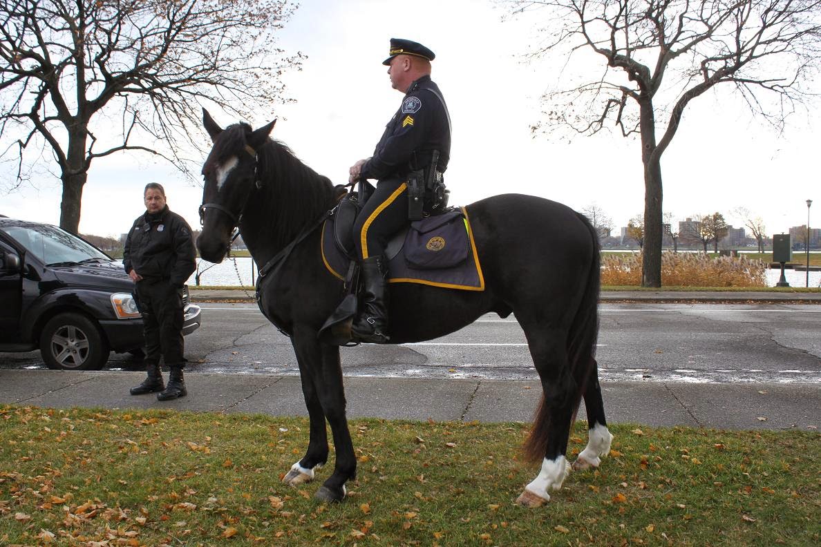 Michigan Exposures: A Detroit Mounted Policeman