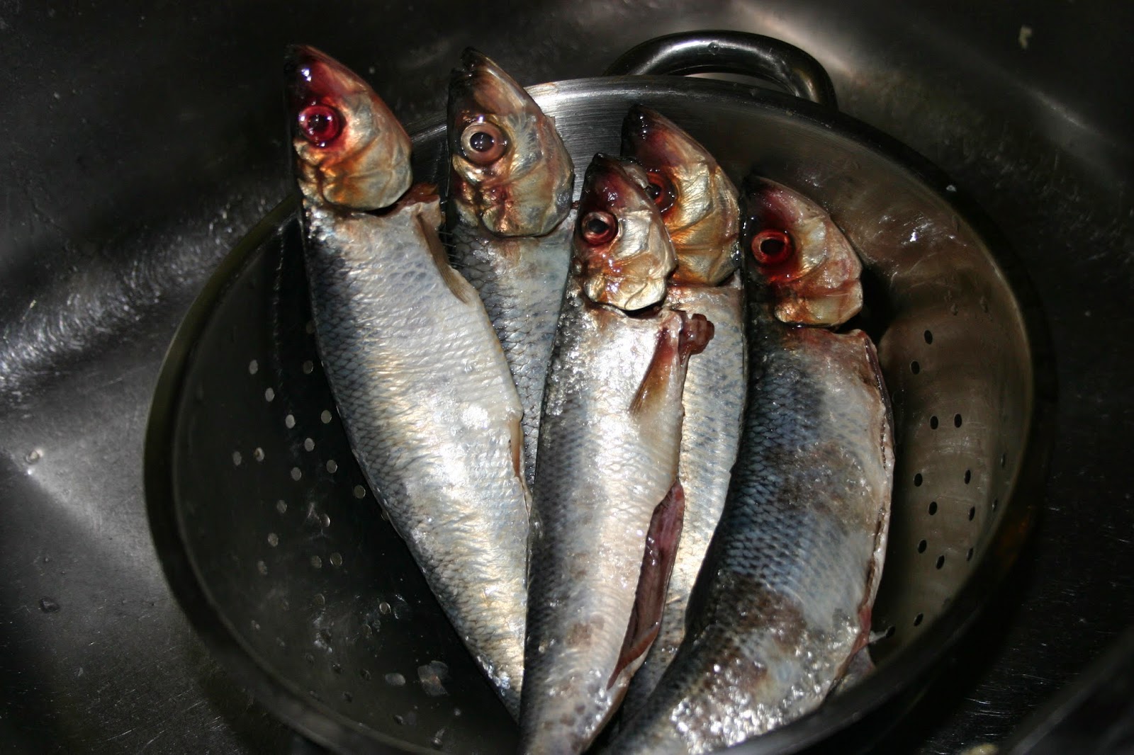 Neil Cooks Grigson: #406 Soused Herrings