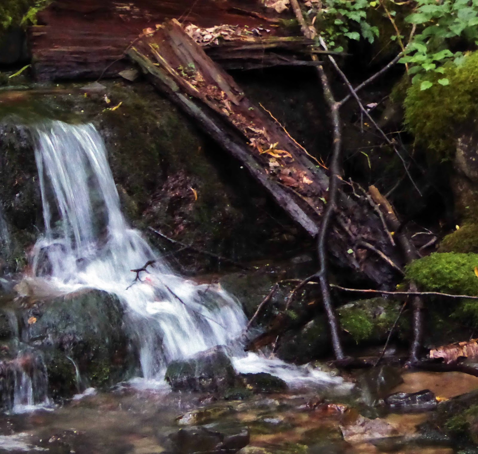 Charlottesville Chapter of the Potomac Appalachian Trail Club: Seneca ...