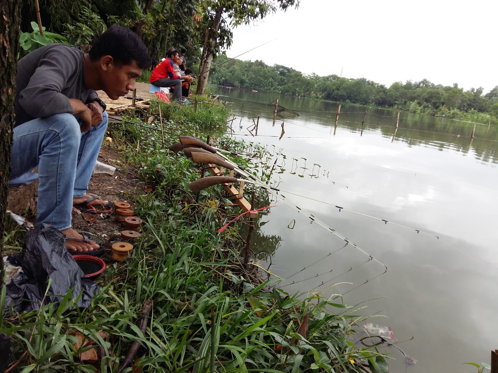 Petualangan Mancing Seru di Danau: Memancing di Tengah Keindahan Alam ...
