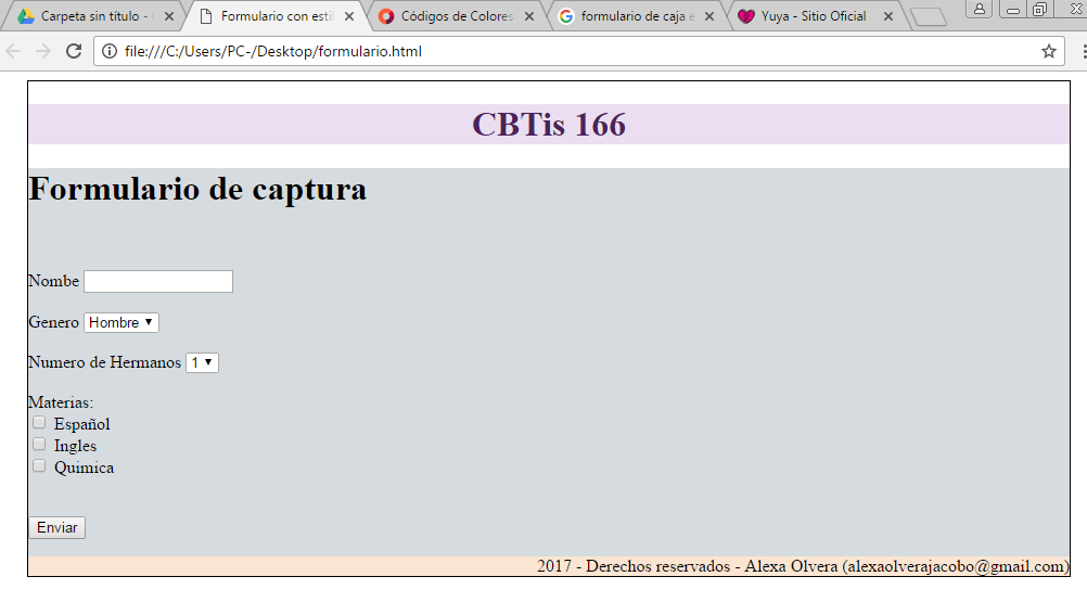 FORMULARIO CSS CON ESTILO